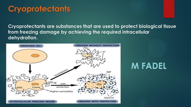 An Overview on Embryos Cryopreservation & Vitrification | PDF