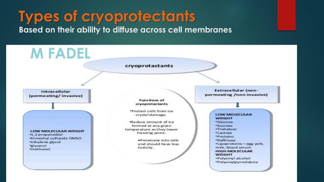An Overview on Embryos Cryopreservation & Vitrification | PDF