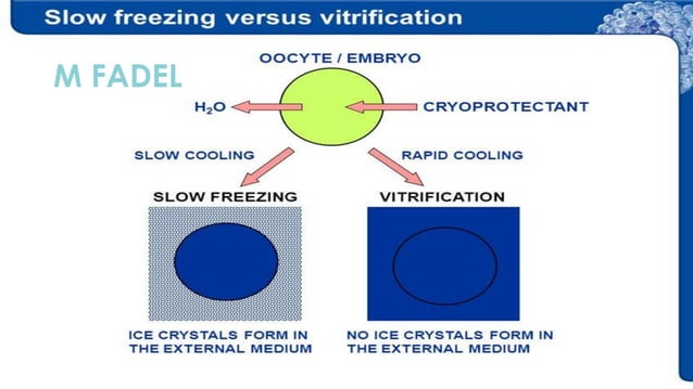 An Overview on Embryos Cryopreservation & Vitrification | PDF