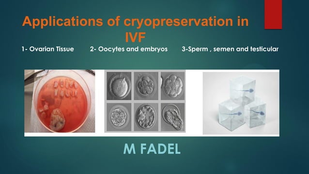 An Overview on Embryos Cryopreservation & Vitrification | PDF