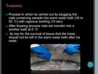 Cryopreservation | PPTX