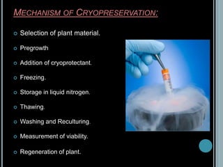 Cryopreservation | PPTX