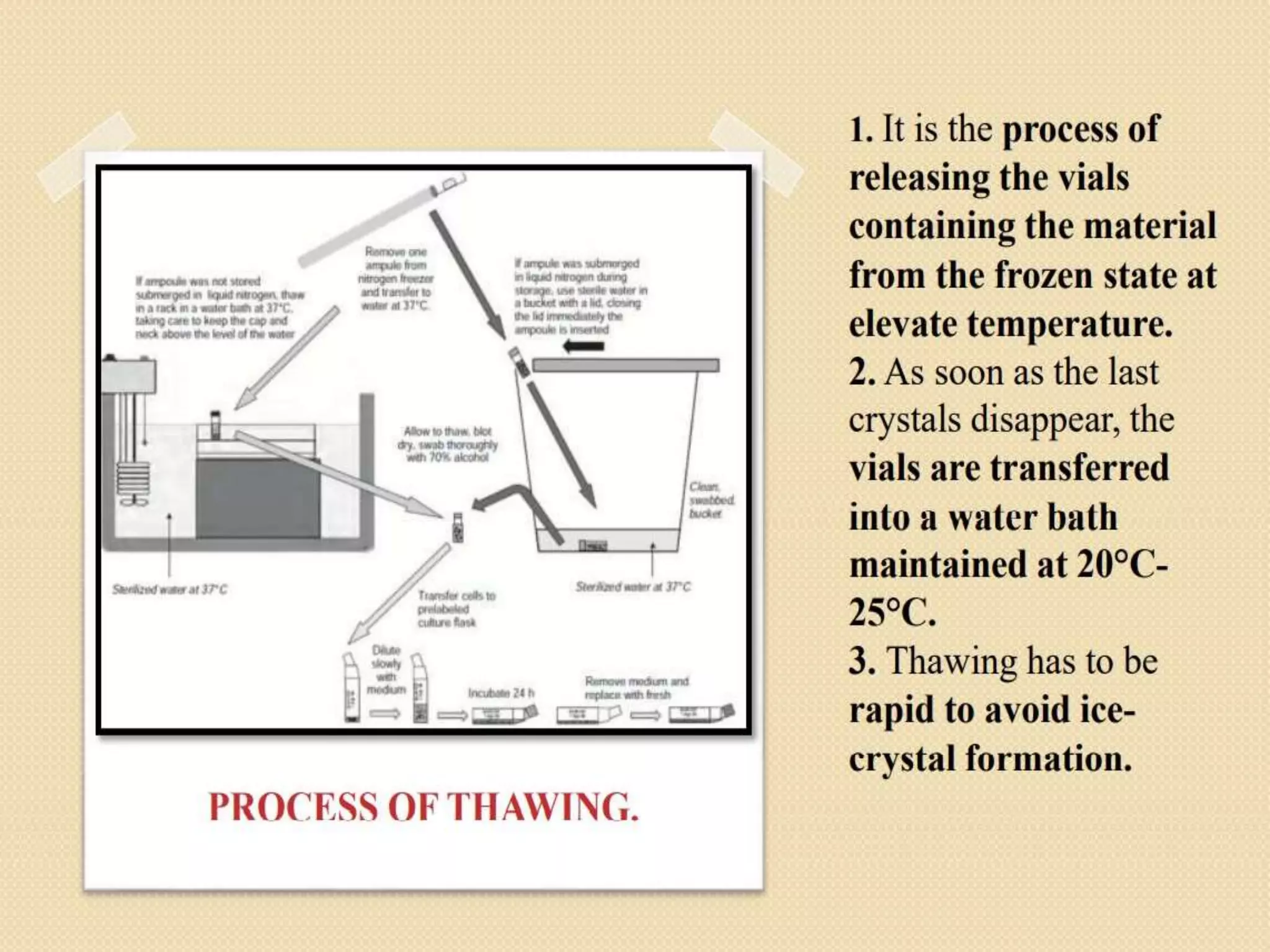 Cryopreservation | PPTX