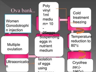 Cryopreservation ( methods and application) | PPTX