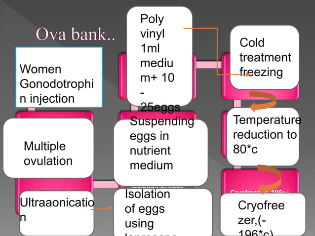 Cryopreservation ( methods and application) | PPTX