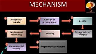 Cryopreservation/of cells and tissues| Application, mechanism ...