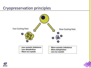 Cryopreservation.pptx
