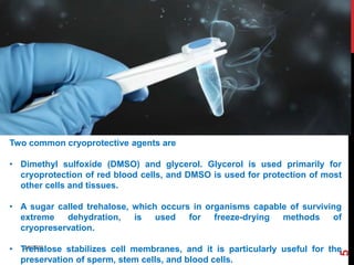 Cryopreservation.pptx