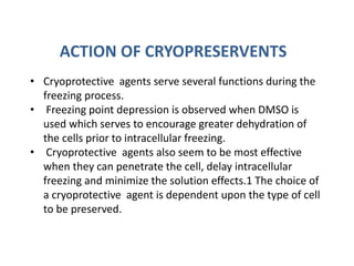CRYOPRESERVATION.pptx