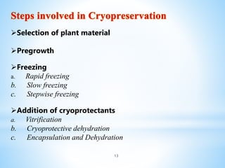 cryopreservation.pptx