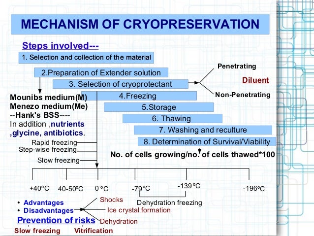 Cryopreservation dk final present