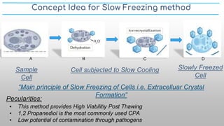 Cryopreservation of tissues , cell n ova .pptx