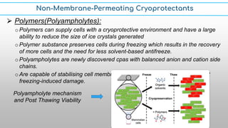 Cryopreservation of tissues , cell n ova .pptx
