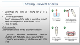 Cryopreservation of tissues , cell n ova .pptx