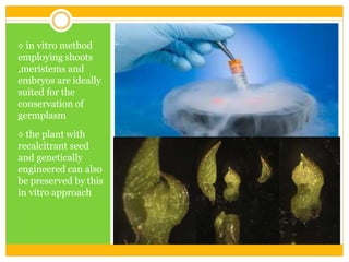 Cryopreservation of germplasm | PPTX