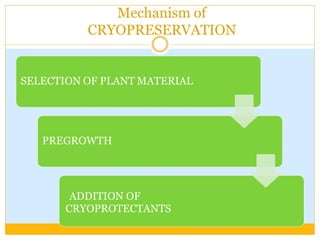 Cryopreservation of germplasm | PPTX