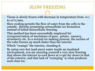 Cryopreservation of germplasm | PPTX
