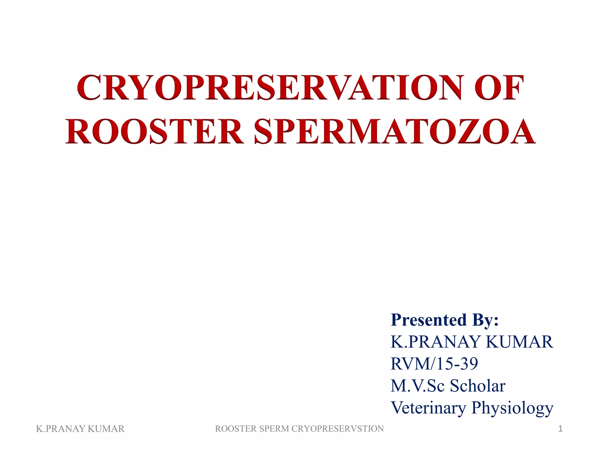 Cryopreservation of rooster sperm | PPTX