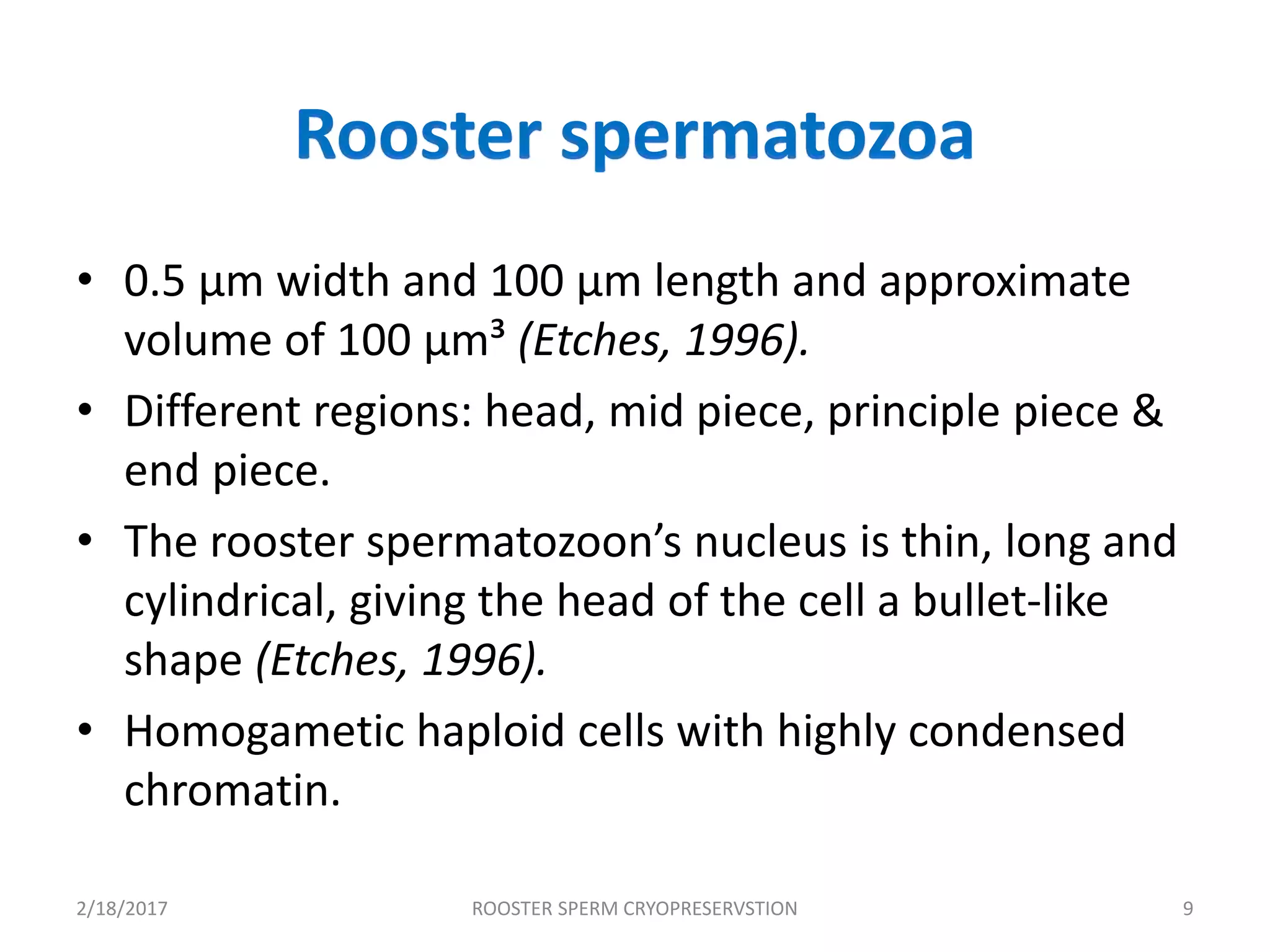 Cryopreservation of rooster sperm | PPTX