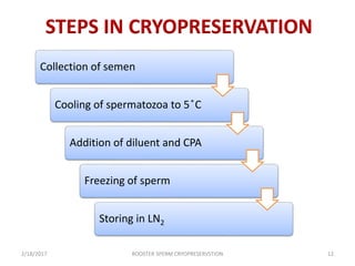 Cryopreservation of rooster sperm | PPT