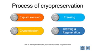 Cryopreservation power point.pptm