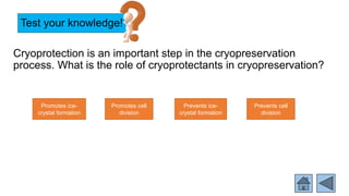 Cryopreservation power point.pptm