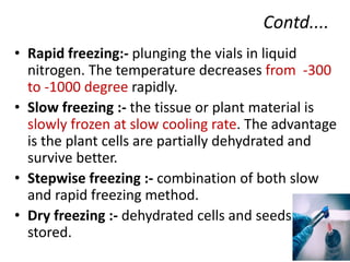 Cryopreservation techniques in fruit crops | PPTX