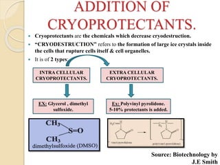 Cryopreservation | PPTX
