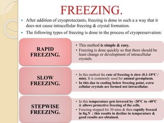Cryopreservation | PPTX