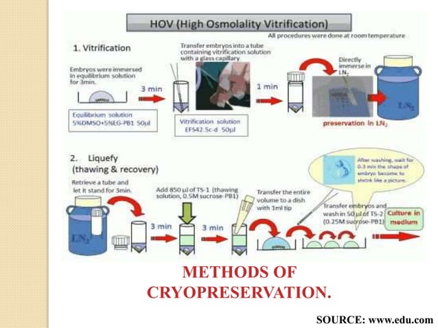 Cryopreservation