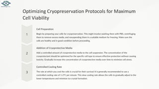 Cryoprotective Media And Phosphate Buffered Salin: Complete Guide | PPT