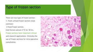 Cryoscetioning day1 | PPTX | Chemistry | Science