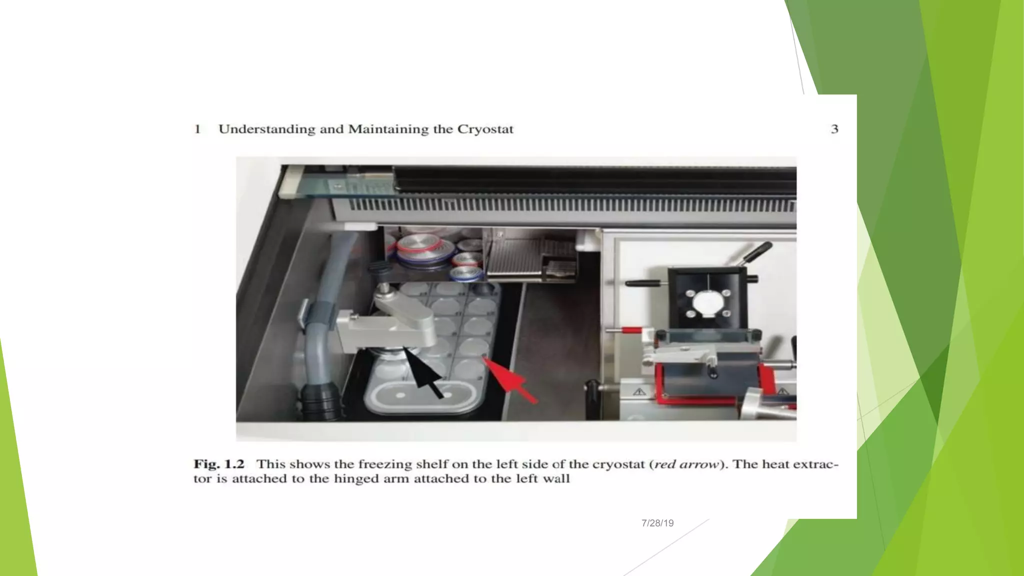 CRYOSTAT-FROZEN SECTION | PPT