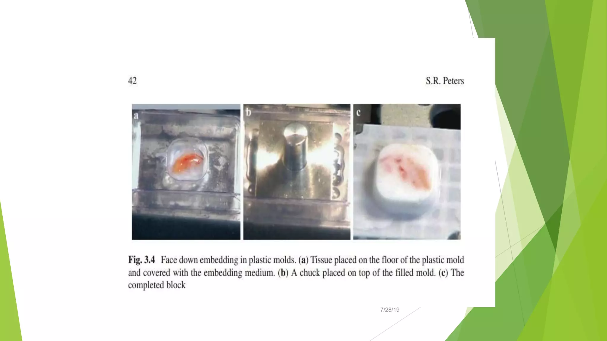 CRYOSTAT-FROZEN SECTION | PPT