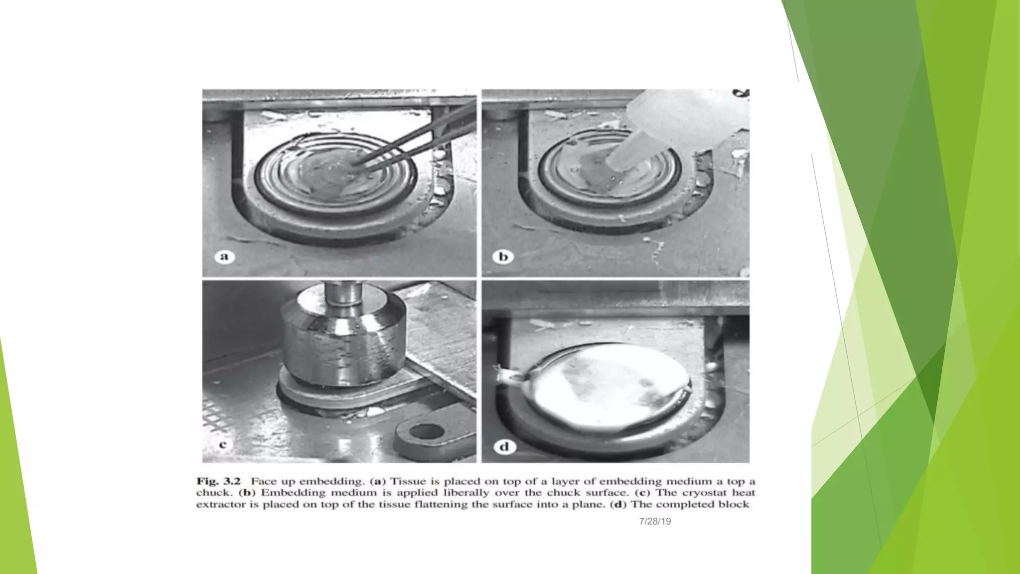 CRYOSTAT-FROZEN SECTION | PPT