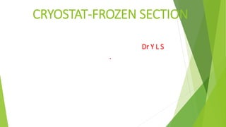 CRYOSTAT-FROZEN SECTION | PPT