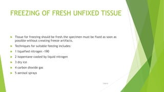 CRYOSTAT-FROZEN SECTION | PPT