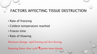 Cryosurgery Dr Manasa Shettisara Janney | PPTX