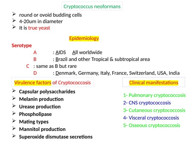 Crypt-Mucor-Penicil.-Pneumo-2021 short.pptx
