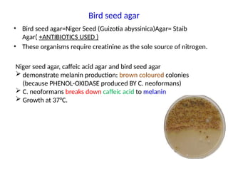 Crypt-Mucor-Penicil.-Pneumo-2021 short.pptx