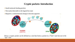 Cryptic pocket | PDF