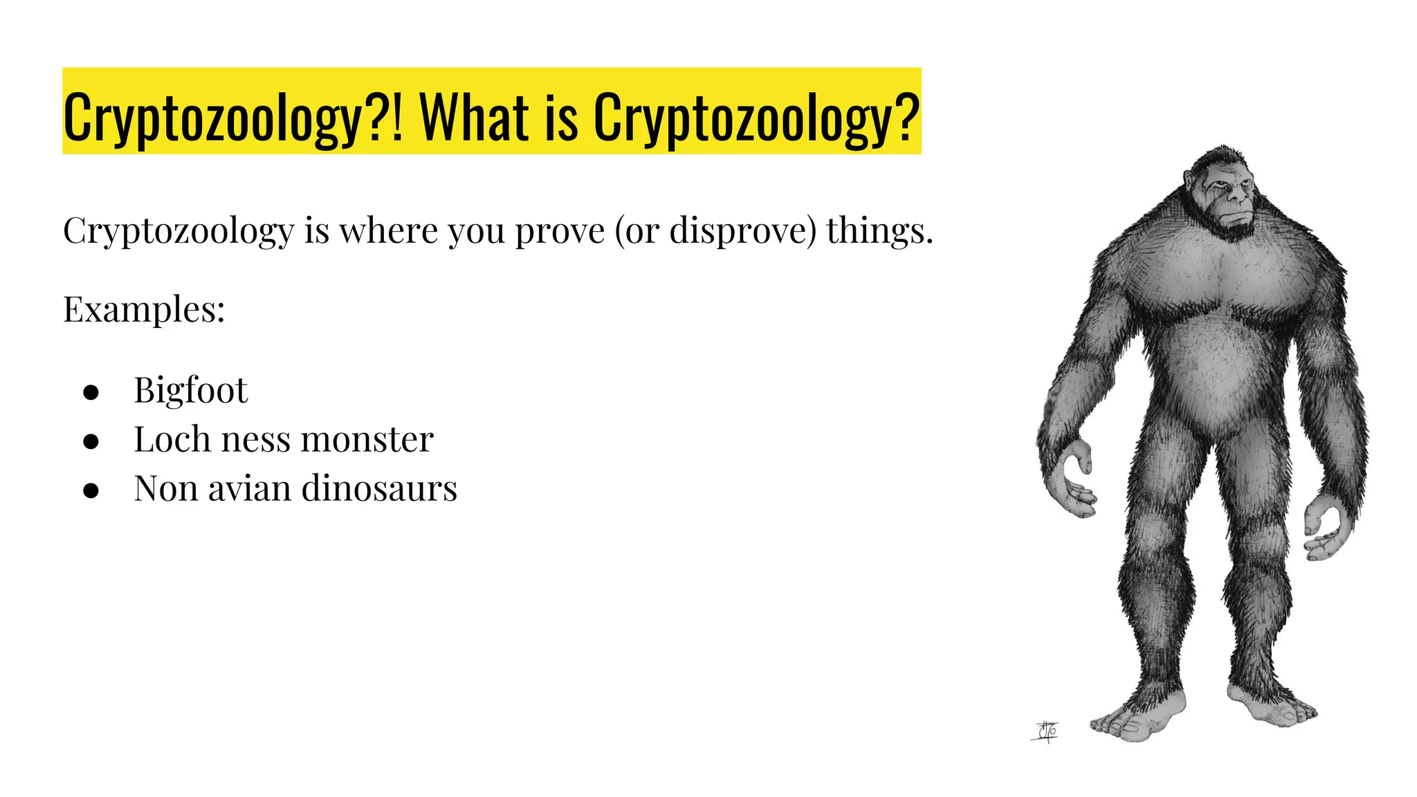 Can You Prove It? Cryptids and Cryptozoology | PDF