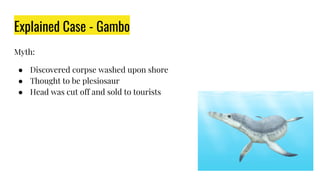 Can You Prove It? Cryptids and Cryptozoology | PDF