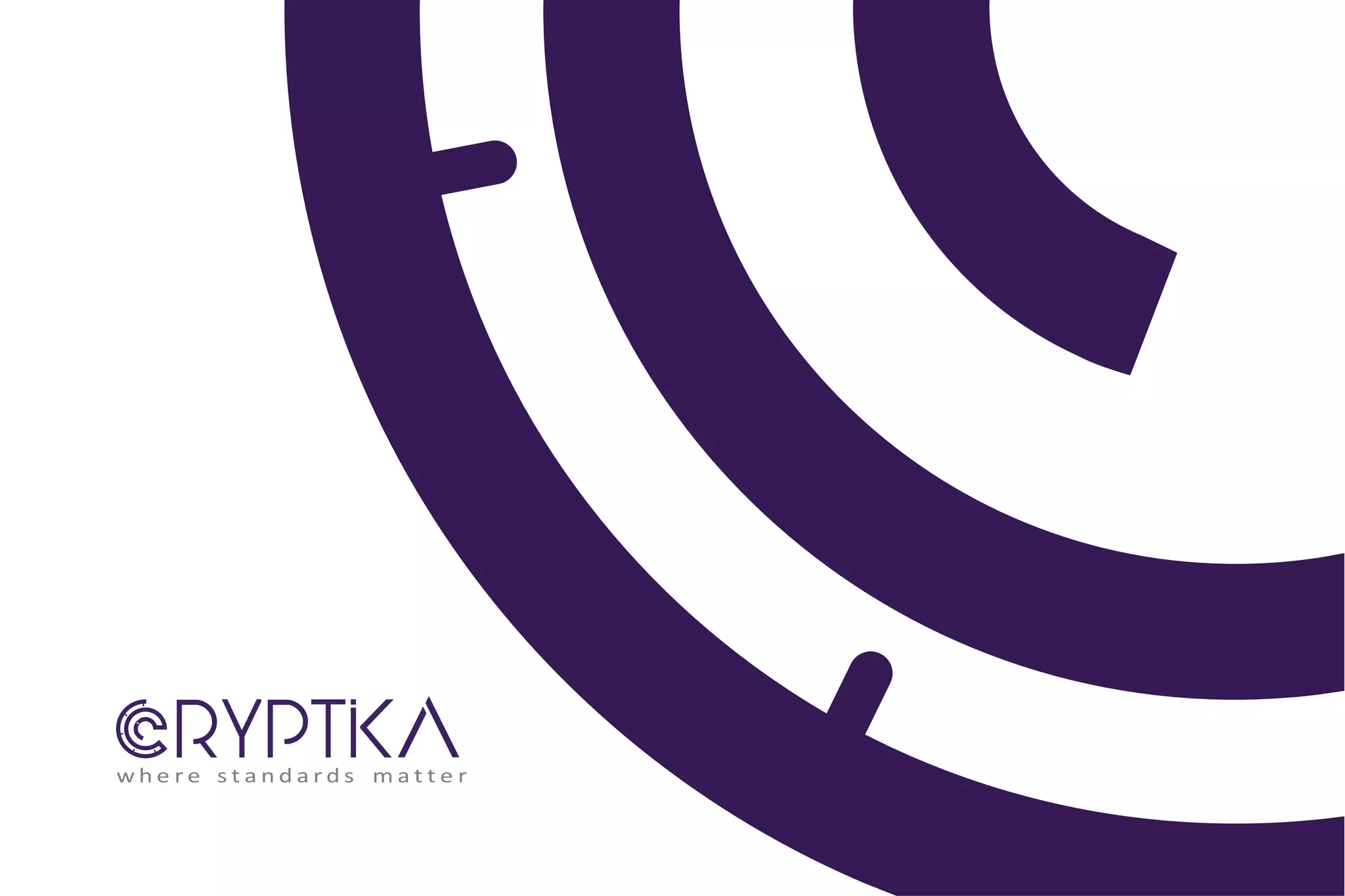 Cryptika cybersecurity - company profile | DOCX