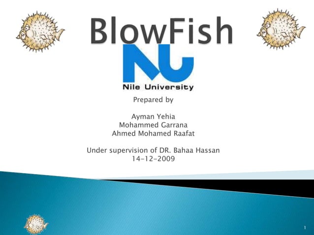 Crypto-Presentation jfjfd dkfdnfdj kdfjdjfdjkfd .pptx