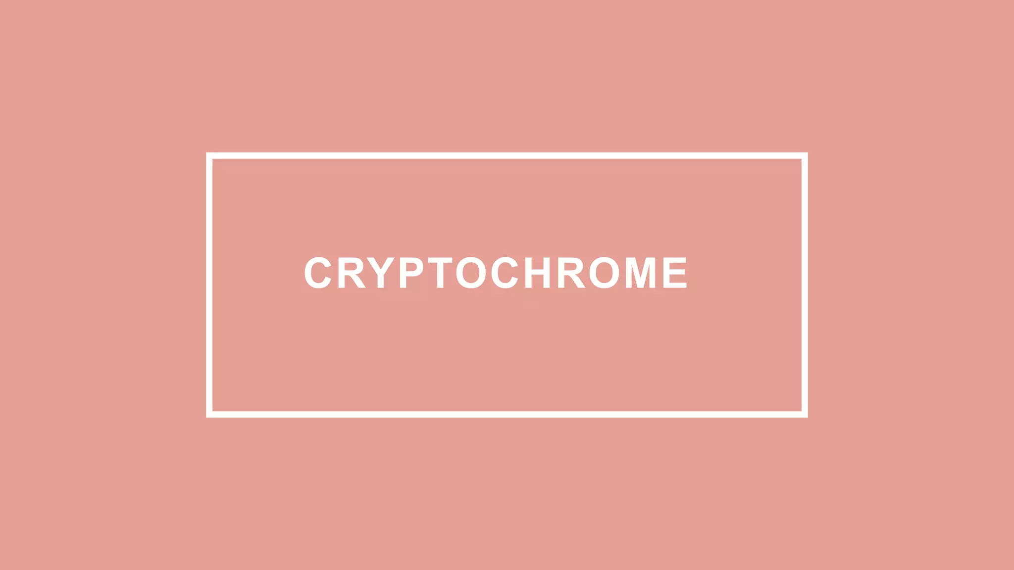 Cryptochrome By Vidan Biology | PPTX