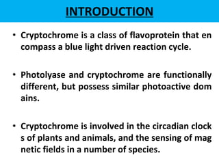 Cryptochromes | PPTX