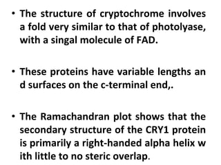 Cryptochromes | PPTX