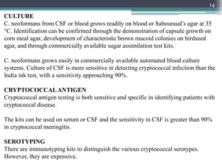 Cryptococcal Meningitis SEMINAR | PPTX