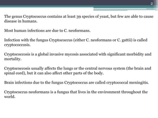 Cryptococcal Meningitis SEMINAR | PPTX
